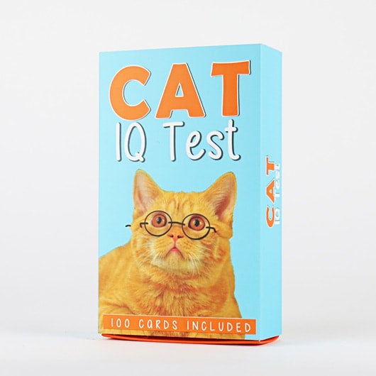 Cat IQ Test | SIMPLE to SUBLIME